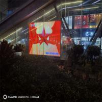 China P5 2500cd Digital Advertising Display Indoor LED Film Display with Easy Peel and Stick Installation for Shop Window for sale