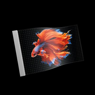 China P6 High Brightness Full Color LED Transparent Film Screen For Shop Window for sale