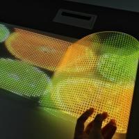 China P5 Indoor Full Color Transparency Display LED Transparent Film Screen Flexible Adhesive Video Wall for sale