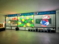 China P8 Indoor Bendable Transparent LED Film Panel with 90% Transparency and IP67 Protection for Commercial Shopping Centers for sale