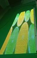 China P10 Pixel Pitch LED Film Screen with 80% Transparency Rate and 300W Max Power for Shopping Mall Advertising for sale