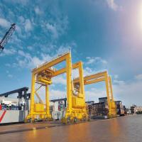 China Zehua Crane 200T Port Container Offshore Rubber Wheel Gantry Price Crawler Tyre Motor RTG Gantry Hoist Lifting Crane for Sale for sale