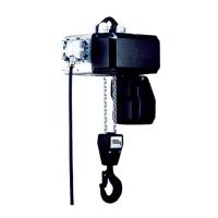 China Factory Wholesale Electric Chain Hoist 1 Ton 3 Ton 5 Ton Heavy Duty 380V 220V Wireless Remote Crane Hoist for Workshop for sale