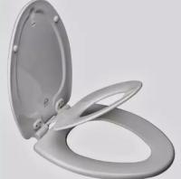 China High Quality Plastic Mold Toilet Cover Mold  Home Appliance Mold for sale