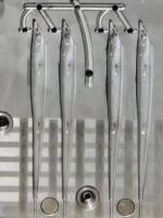 China Injection Molding Plastic Fishing Lure Mold Home Appliance Mold for sale