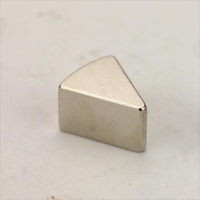 China Special Shaped Custom Sintered Magnet Rare Earth Permanent Magnets for sale