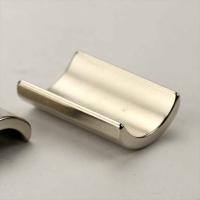 China Special Shaped Custom Sintered Magnet Rare Earth Permanent Magnets for sale