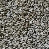 China Samarium Iron Nitrogen SmFeN Magnet Compound Lightweight for sale