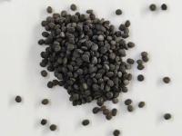 China Injection NdFeB Powder PPS Plastic Magnetic Compound For Electronic Products for sale