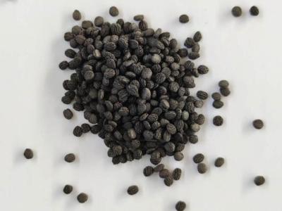 China Injection NdFeB Powder PPS Plastic Magnetic Compound For Electronic Products for sale