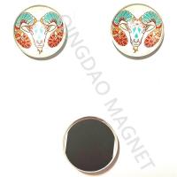 China Dia 30mm SmFeN Decorative Refrigerator Magnets Permanent Magnet Assembly for sale