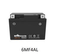 China Customized for The European and American Markets Special for Large Displacement Locomotives Motorcycle Battery for sale