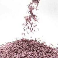 China Natural Lavender Cat Litter with High Absorbency and Fast Clumping - Strip Type Dust-Free Formula for Pet Care for sale