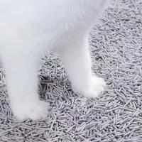 China Activated Carbon Tofu Cat Litter 6L Dust-Free Biodegradable with Fast Clumping for Superior Odor Control for sale