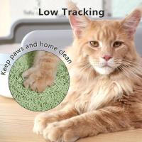 China Non-Stick Green Tea Tofu Cat Litter | 100% Natural Strip-Type Formula with Superior Absorbency and Dust-Free Performance for sale