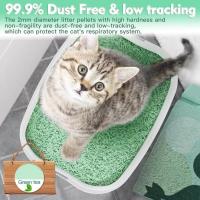 China Starhong Green Tea Cat Litter - Flushable Organic Soybean Clumping Formula with 10+ Years OEM Experience for Multiple Cats for sale