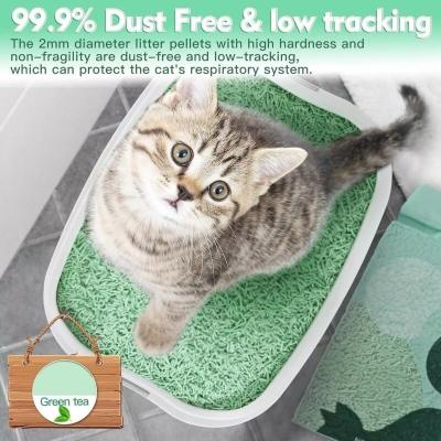 China Starhong Green Tea Cat Litter - Flushable Organic Soybean Clumping Formula with 10+ Years OEM Experience for Multiple Cats for sale