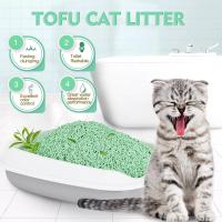 China Starhong Green Tea Cat Litter - Flushable Organic Soybean Clumping Formula with 10+ Years OEM Experience for Multiple Cats for sale