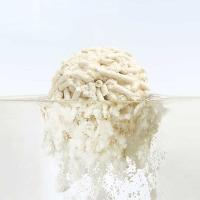 China 1.5mm White Tofu Cat Litter - Fast Clumping, Dust-Free, Flushable Natural Plant-Based Formula for sale