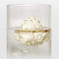 China Tofu Cat Litter 1.5mm-2.0mm Flushable with Superior Odor Control and Strong Clumping for Easy Cleaning for sale