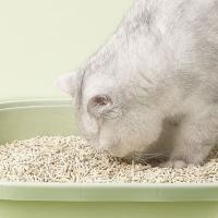China Low Dust Tofu Cat Litter Bulk 1.5mm 1.8mm 2.0mm Strip Shape with ISO9001 BSCI Certification for sale
