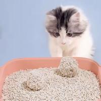 China Dust Free Unscented Cat Litter Custom Deodorized Tofu Cat Litter Sands for sale