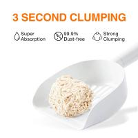 China Fast Agglomeration Tofu Cat Litter - Dust Free Strip Type with Superior Absorbency for 3-5 Day Production for sale