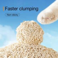 China ODM Natural Clumping Cat Litter Dust Free Biodegradable Tofu Formula in 1.5mm 1.8mm 2.0mm Granule Sizes for sale