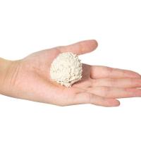 China Tofu Cat Litter 1.5mm-2.0mm All Natural Clumping with Superior Odor Control and Flushable Formula for sale