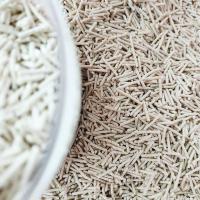 China Strip Shape Clumping Dust Free 6L Tofu Cat Litter OEM ODM for sale