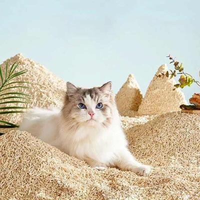 China Starhong Tofu Cat Litter 1.5mm-2.0mm Granules with 3x Liquid Absorption - Eco-Friendly Biodegradable Formula for sale