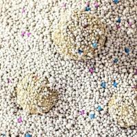 China OEM Bentonite Cat Litter 0.8mm-3.8mm Dust Free Ball Shape Strong Clumping Odor Control for sale