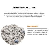 China Dust-Free Bentonite Cat Litter with Super Absorbency - Ball Type Natural Odor Control Pet Litter Sand for sale