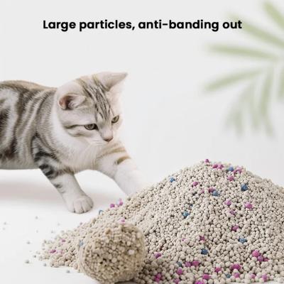 China Lock Strong Bentonite Cat Litter - Dust-Free Clumping Formula with Superior Odor Control for Pet Hygiene for sale