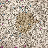 China Factory Direct Bentonite Cat Litter - Dust Free Ball Type with Super Absorbency and Fast Clumping Technology for sale