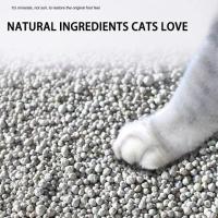 China Factory Direct Bentonite Cat Litter - Dust Free Ball Type with Super Absorbency and Fast Clumping Technology for sale