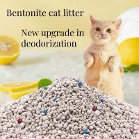 China Spherical Bentonite Clumping Cat Litter 0.8-3.8mm Dust Free Natural Grey Mineral Pet Litter for sale