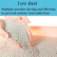 China BSCI Spherical Bentonite Cat Litter 0.8mm-3.8mm Dust-Free Clumping Mineral Pet Litter for sale