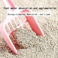 China Starhong Ball Shape Bentonite Cat Litter 0.8-3.8mm Dust Free Clumping Natural Clay Pet Supply for sale