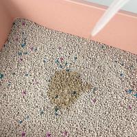 China Spherical Bentonite Cat Litter 0.8-3.8mm Dust Free Fast Clumping Natural Clay Pet Litter for sale