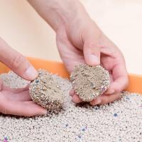 China Spherical Bentonite Cat Litter 0.8-3.8mm Dust Free Fast Clumping Natural Clay Pet Litter for sale