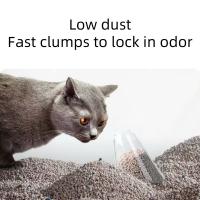 China Dust Free Bentonite Clay Clumping Highly Absorbent Bentonite Biodegradable for sale