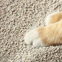 China Odor Lock Natural Bentonite Cat Litter OEM Multi Scented Bentonite Sand Litter for sale