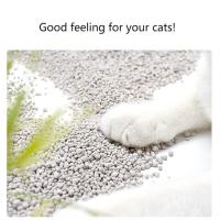 China Pet Products Low Tracking Clumping High Absorbency Odor Control Dust Free Bentonite Kitty Litter for sale