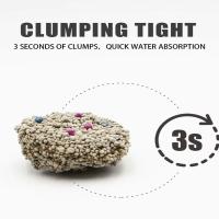 China Premium Bentonite Clay Cat Litter Superior Clumping Odor Control Absorption Pet Products for sale