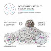 China Fast Clumping Bentonite Cat Litter Highly Absorbent Strong Deodorizing ECO Friendly Pet Products for sale