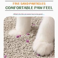 China Pet Products Clumping Water Absorption Dust Free Bentonite Cat Litter 0.8-3.8mm for sale