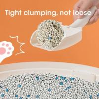 China Pet Products Clumping Water Absorption Dust Free Bentonite Cat Litter 0.8-3.8mm for sale
