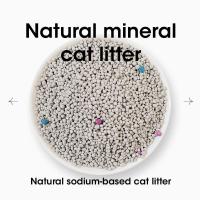 China Low Dust Clay Scent Lock Multi Fragrance Bentonite Cat Litter For Strong Deodorizing for sale