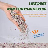 China OEM Eco Friendly Natural Clumping Bentonite Cat Litter Sands ODM for sale
